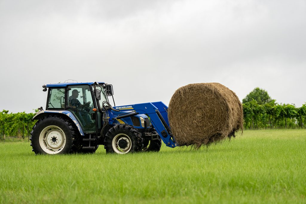 High demand dwindles hay supplies as dry weather persists - High Plains ...