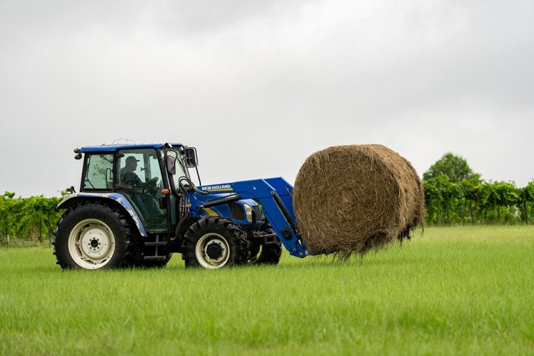 High demand dwindles hay supplies as dry weather persists - High Plains ...