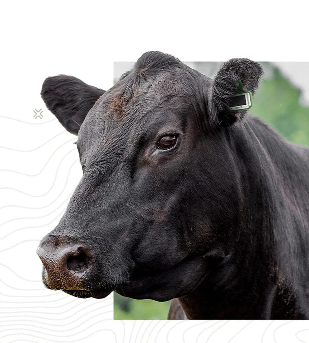 Envu adds tool to help ranch managers - High Plains Journal