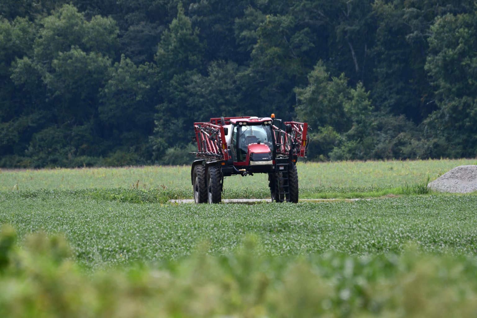 Trump’s order to protect glyphosate, phosphorus a win for agriculture ...