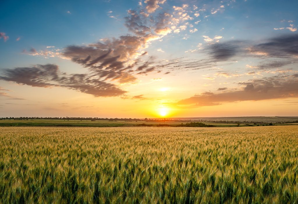New series offers insight into how farmland values are determined ...