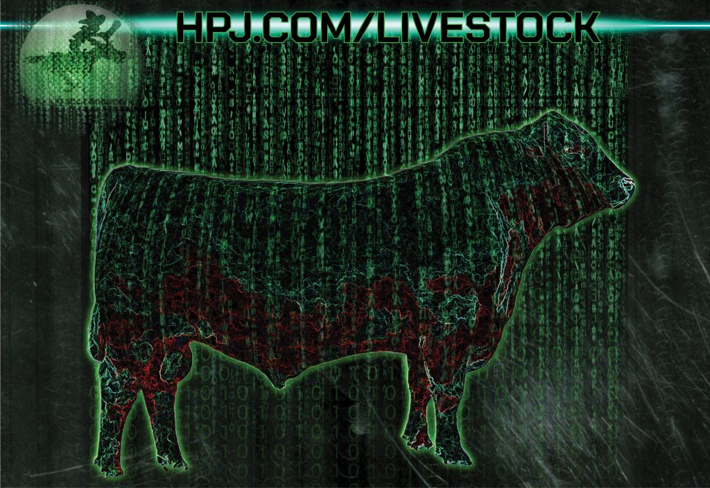 High Plains cattle sales report - High Plains Journal
