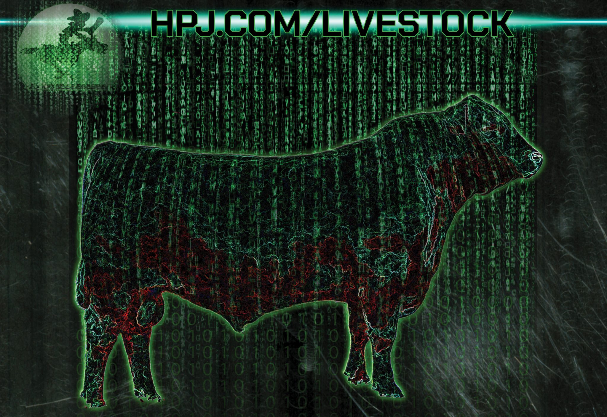 FARM program publishes 2026 drug residue prevention manual - High ...