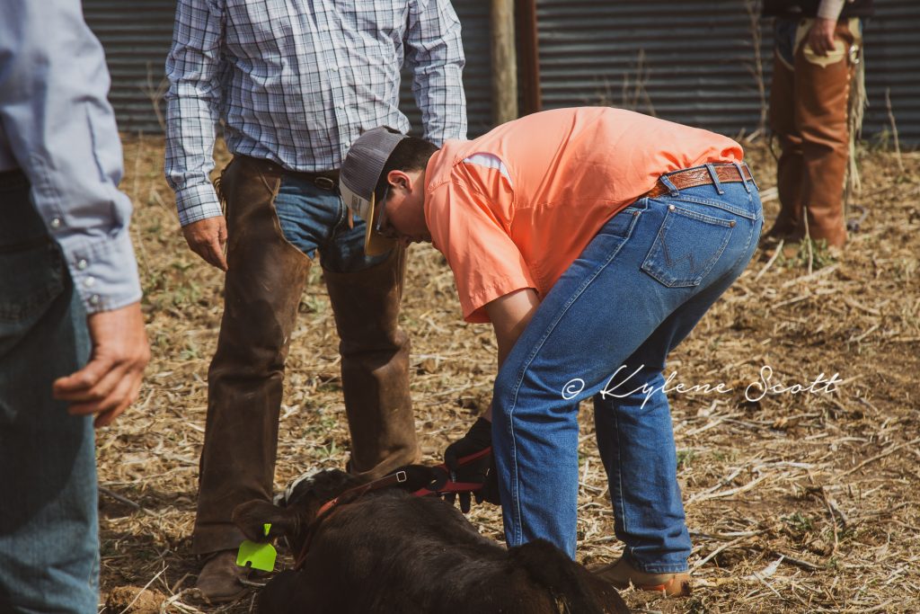 A hard-earned dollar - High Plains Journal